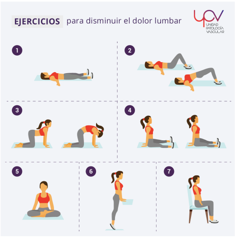 Ejercicios para mejorar el dolor lumbar | Unidad de Patología Vascular
